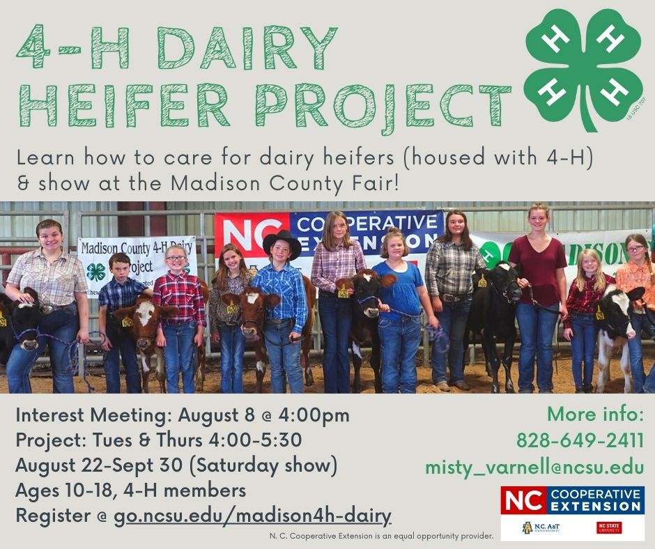 2023 Madison County 4-H Dairy Project | N.C. Cooperative Extension